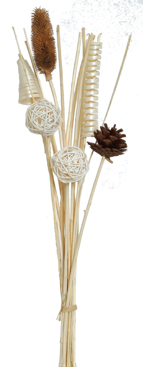 Wholesale Assorted Decorative Twigs Natural – Frontierimports.com