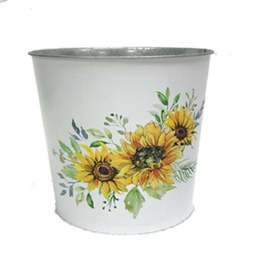 Wholesale Sunflower Containers 4" pot – Frontierimports.com